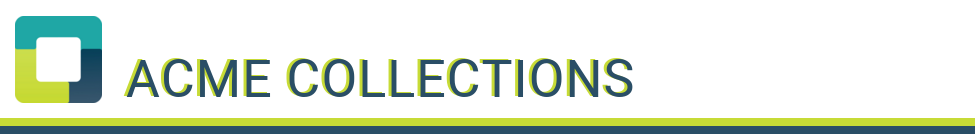 ACME Payment / ACME Dynamite Online Payment Site